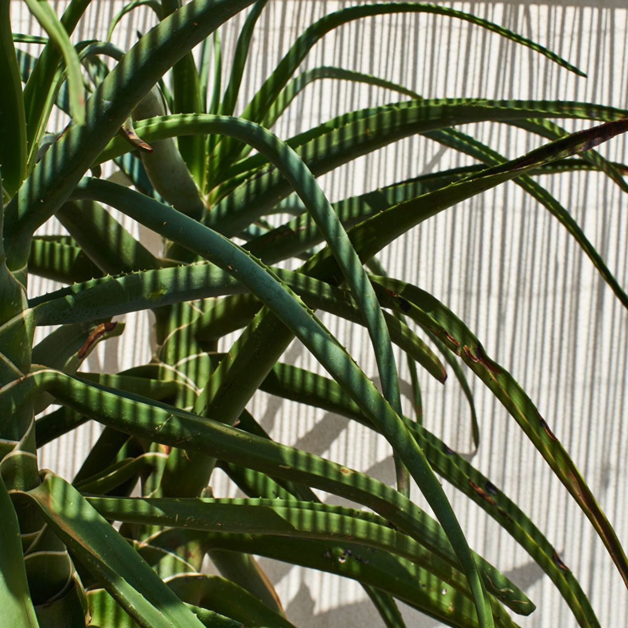 Sito Ufficiale Sikelia Hotel | Prenota ora al miglior prezzo