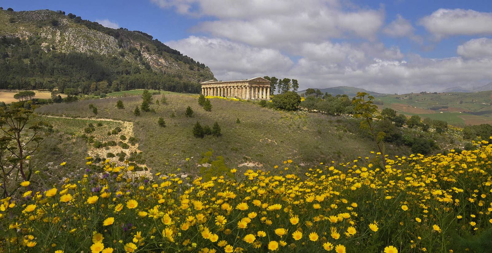 A LEAP BACK IN HISTORY WITH THE TEMPLE AND THEATRE OF SEGESTA 6