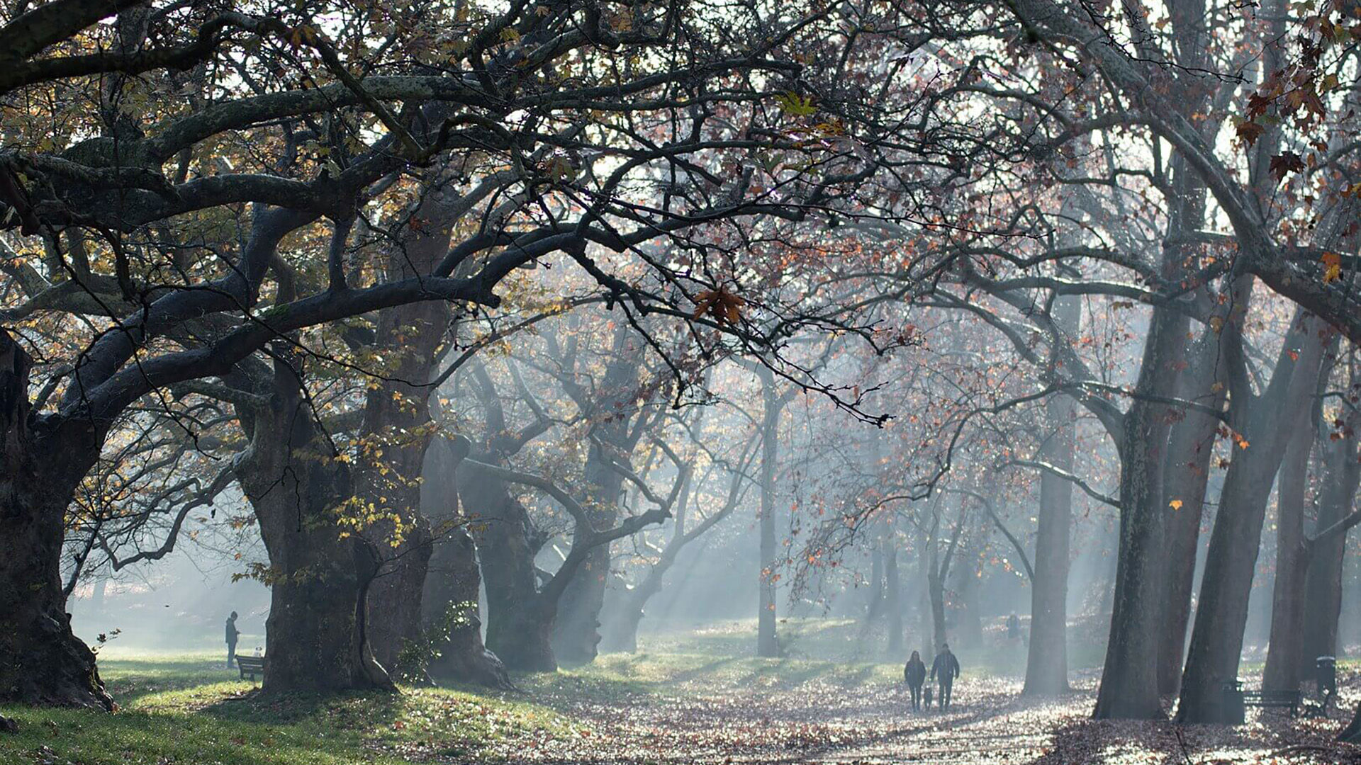 How to visit Rome: what our guests prefer | FH55 Hotels