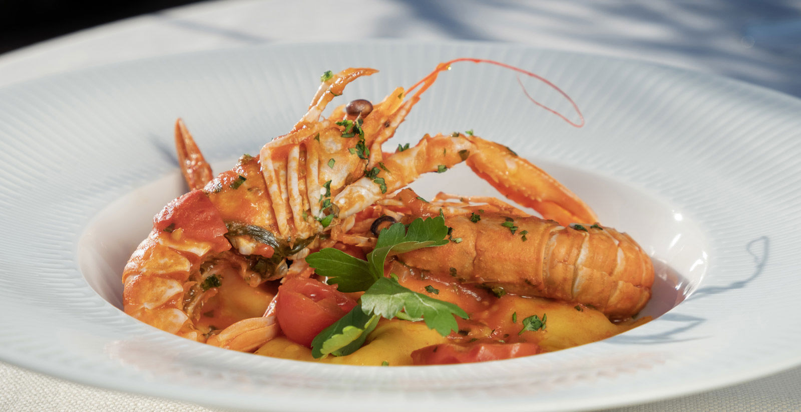 Enjoy the panoramic view of the Marcella Royal Hotel roof garden, Rome